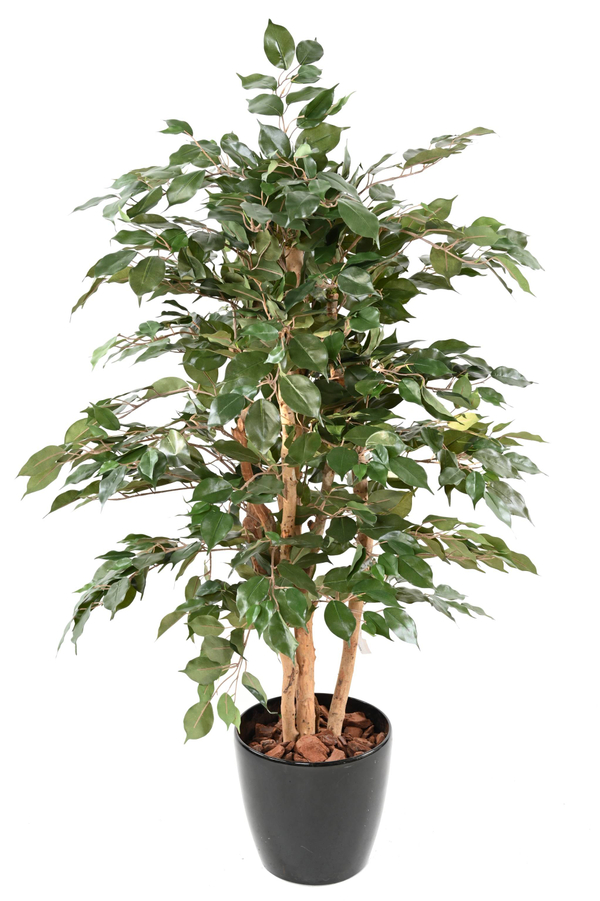 Ficus benjamina Eco artificial - Tropicais | ingarden